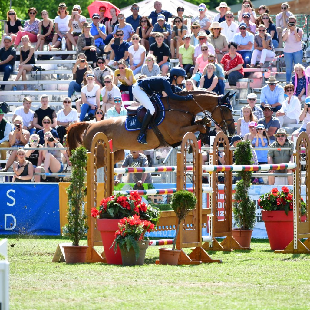 Referenzen - Hippo GmbH